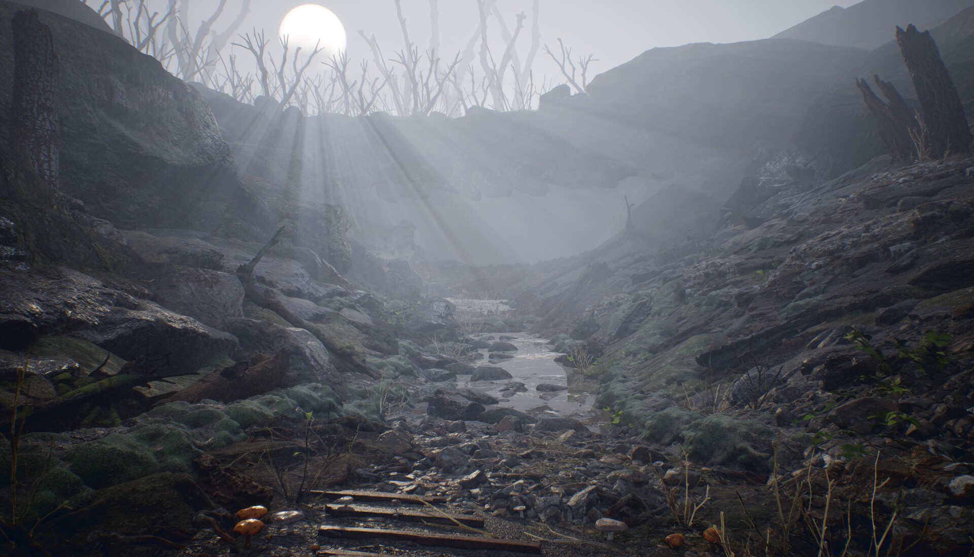 Andy Radulescu - WIP Short Film Project - Northern Cave