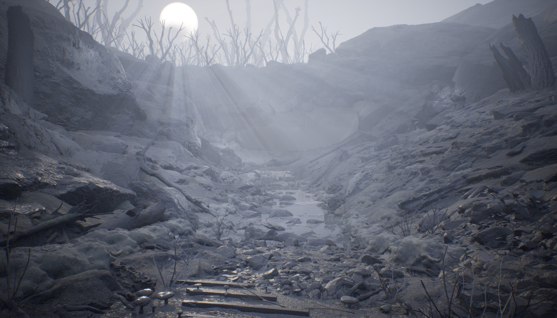 Andy Radulescu - WIP Short Film Project - Northern Cave