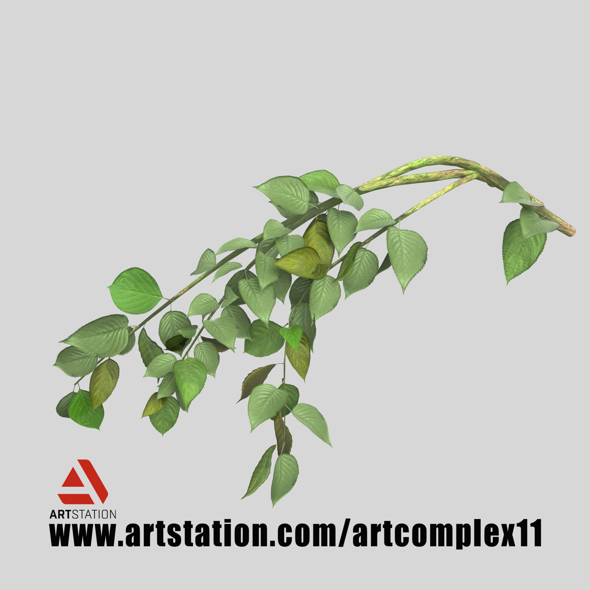 ArtStation - leaf branch