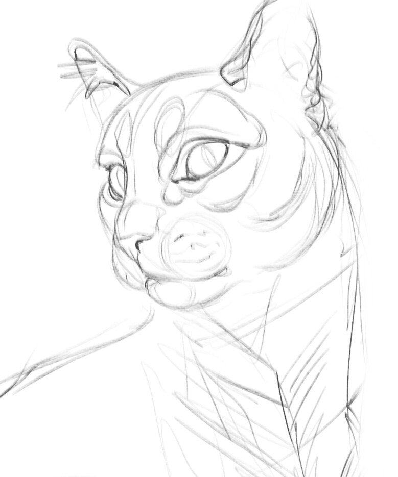 firestar warrior cats coloring pages