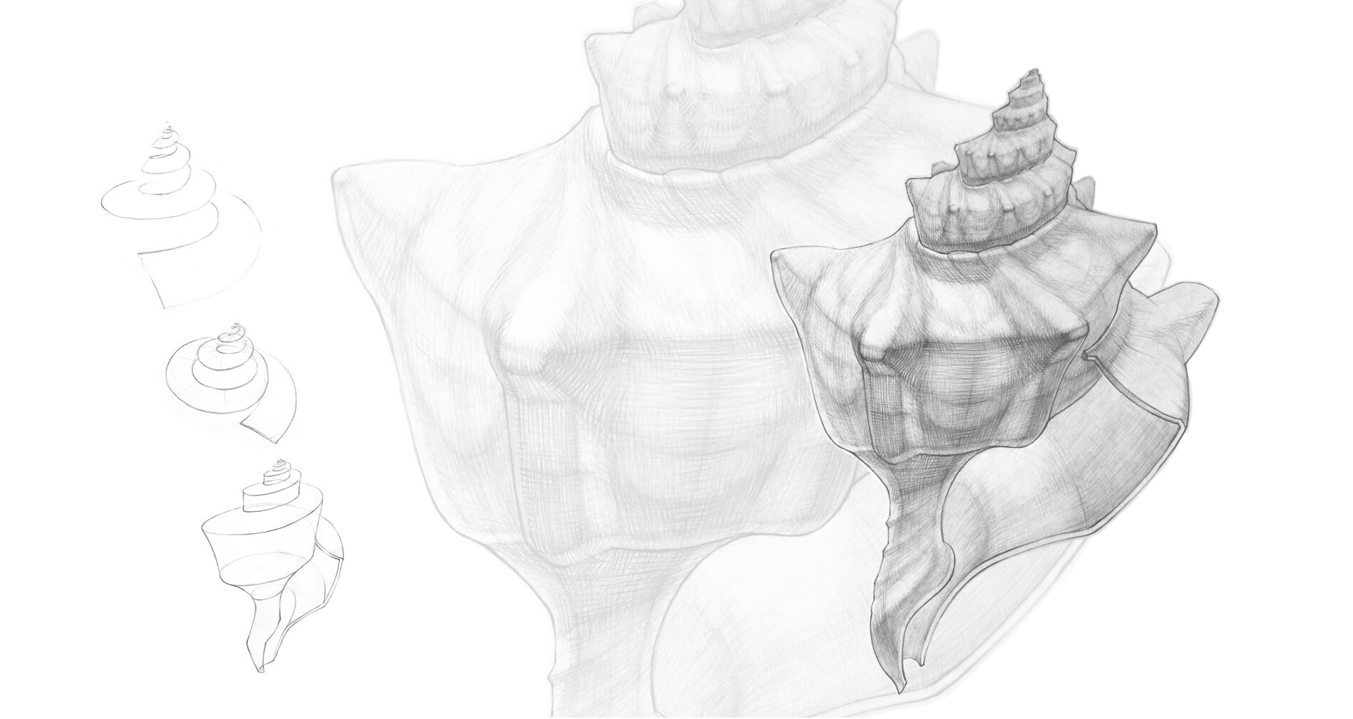 ArtStation - Seashell