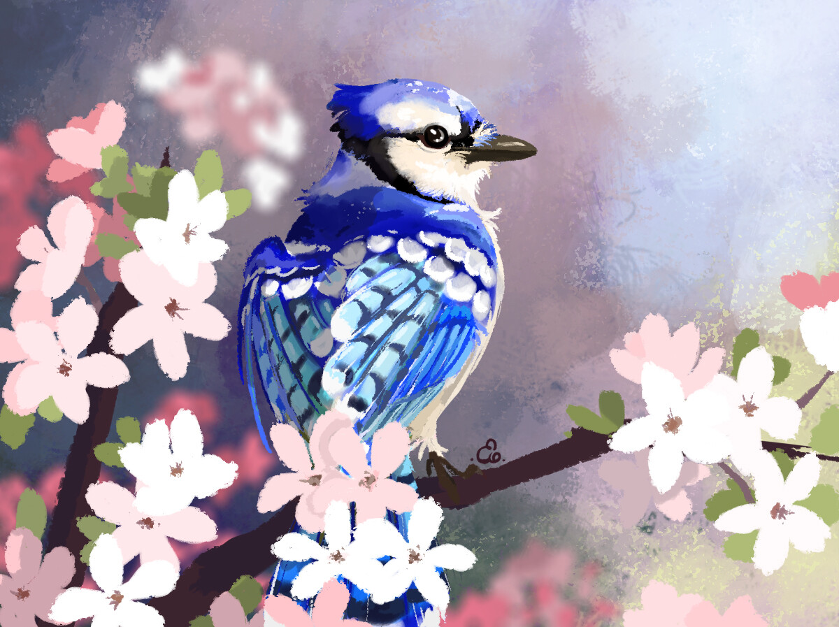 ArtStation - Portraits: Birds