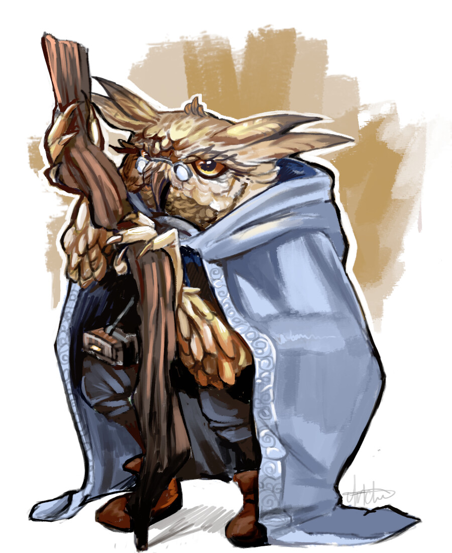 ArtStation - Owlin mage-D&D character client work ArtStation - Owlin mage-D&D character client work
