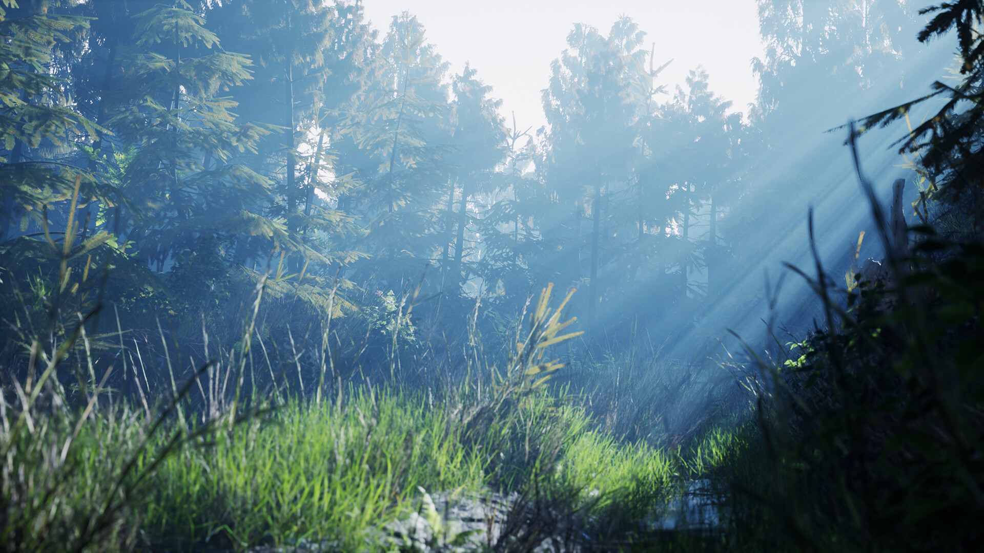 ArtStation - Forest Walk