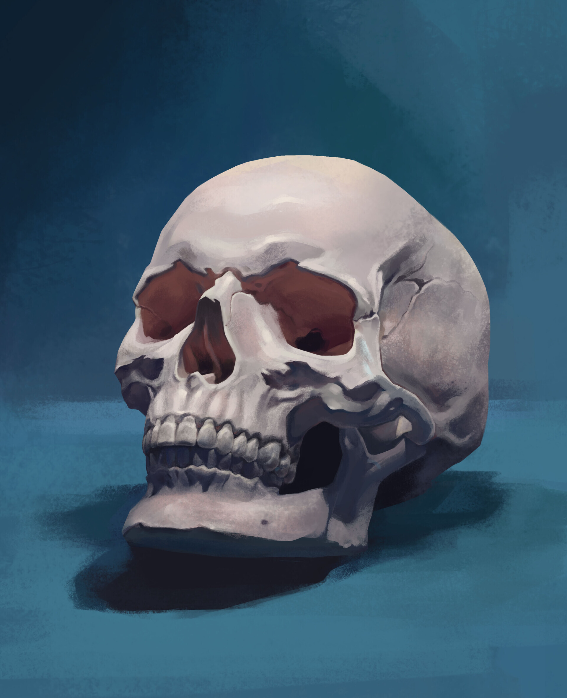ArtStation - Scull
