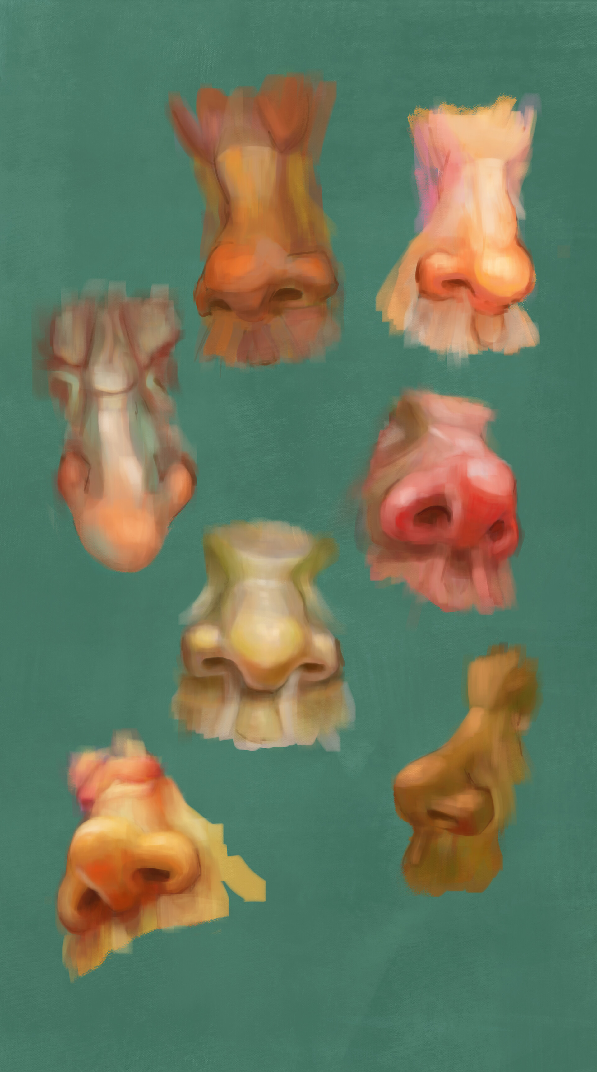 ArtStation - Nose Study