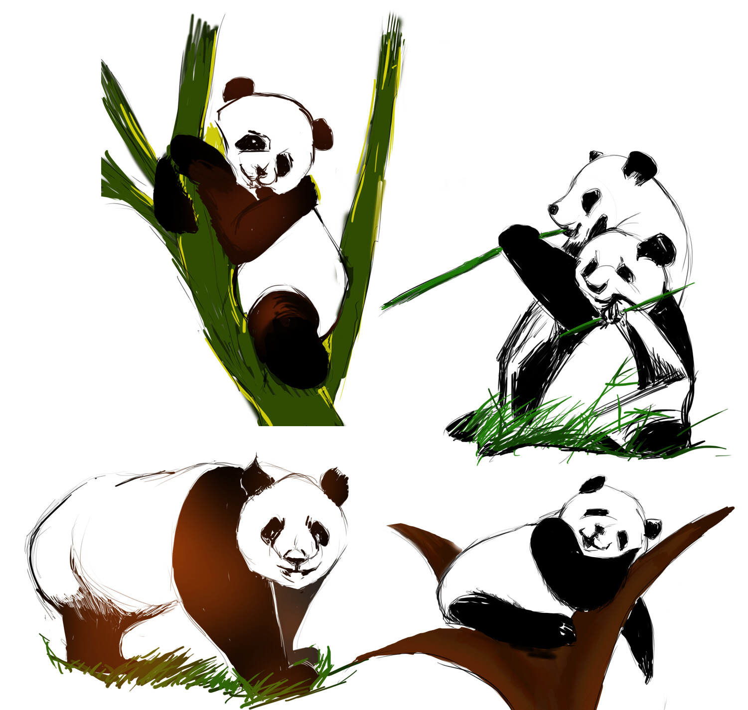 ArtStation - Day 10, panda