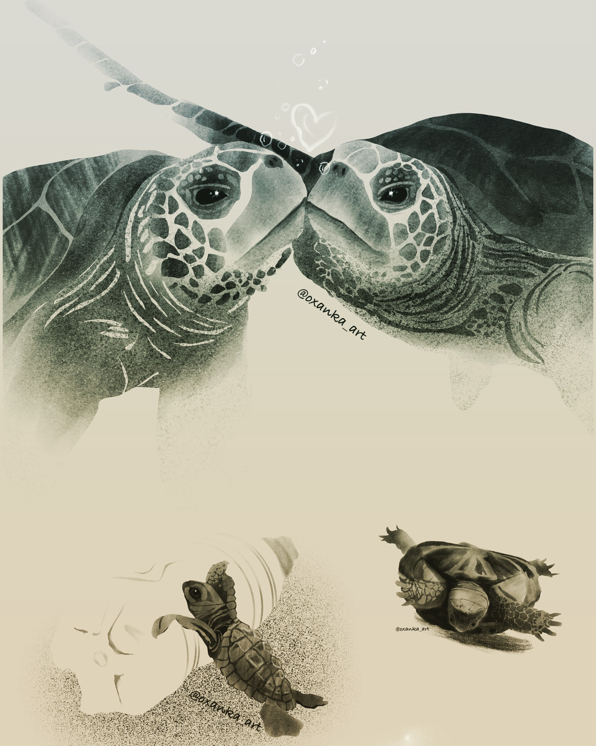ArtStation - Turtles love
