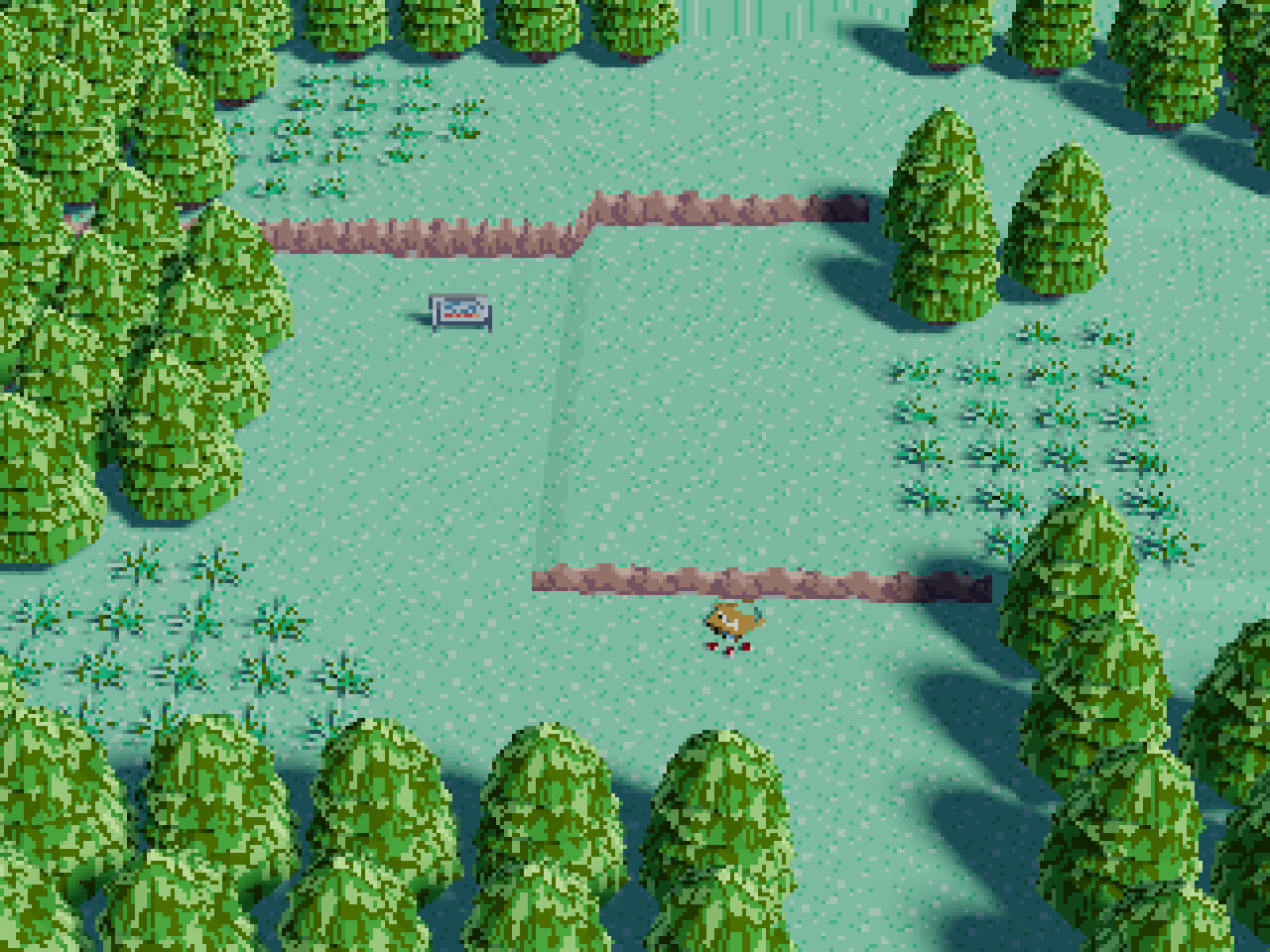 Danny T - Pokemon RSE - Route 101 Recreation