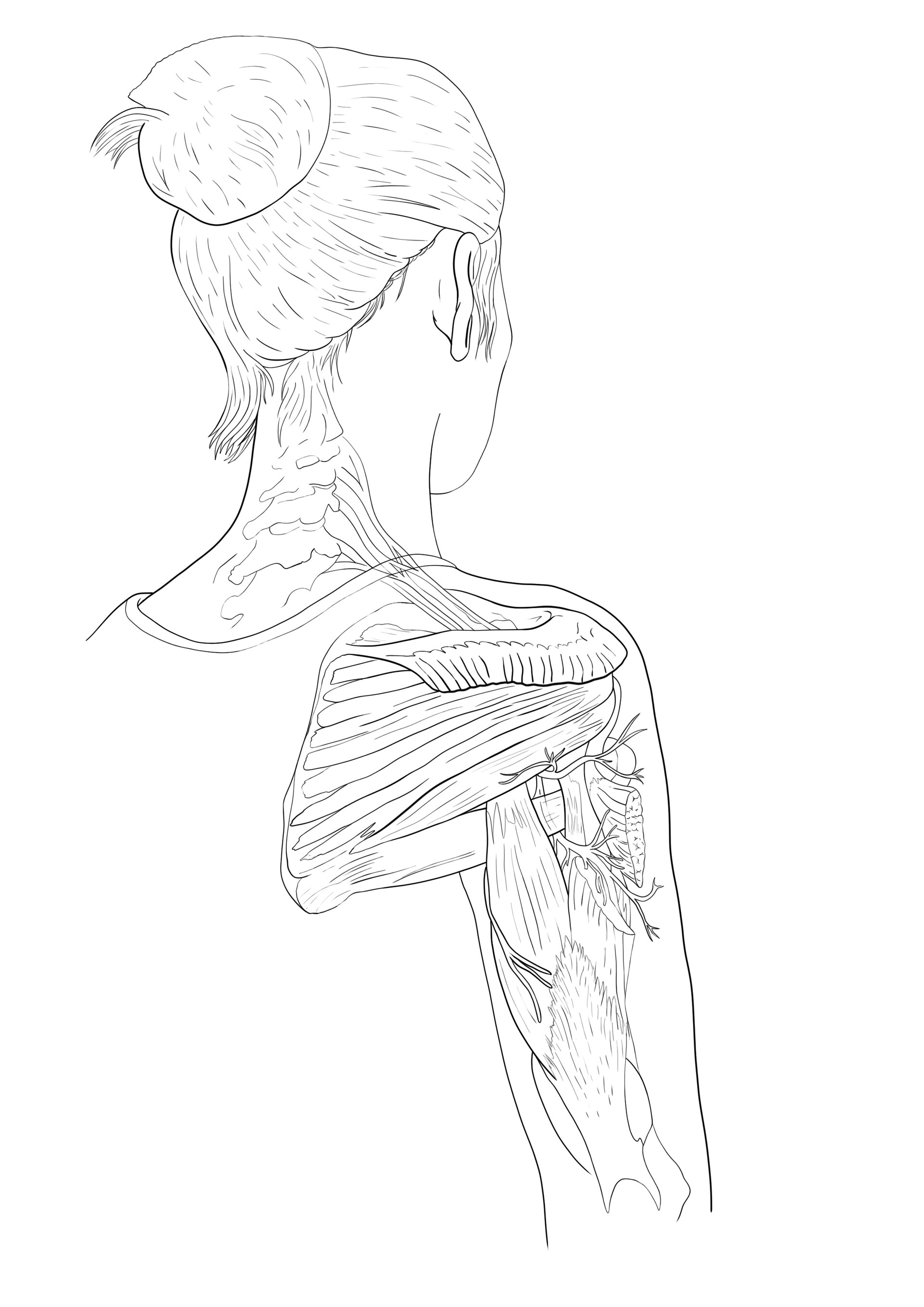 Shubham Mistri - Line art illustrations