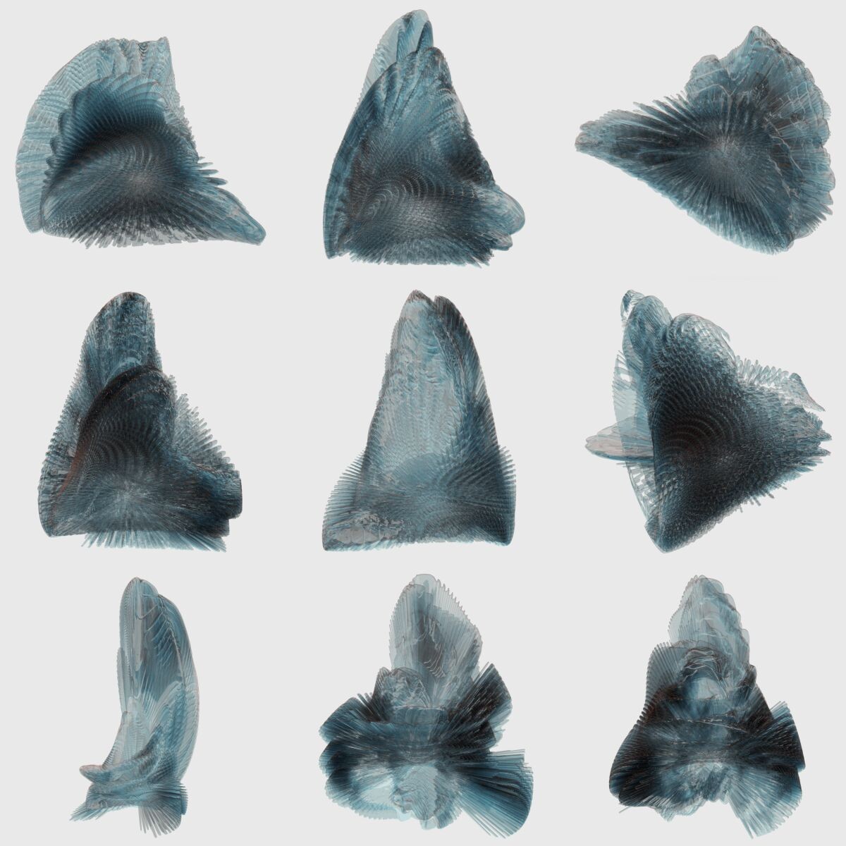 ArtStation - Sea Creatures