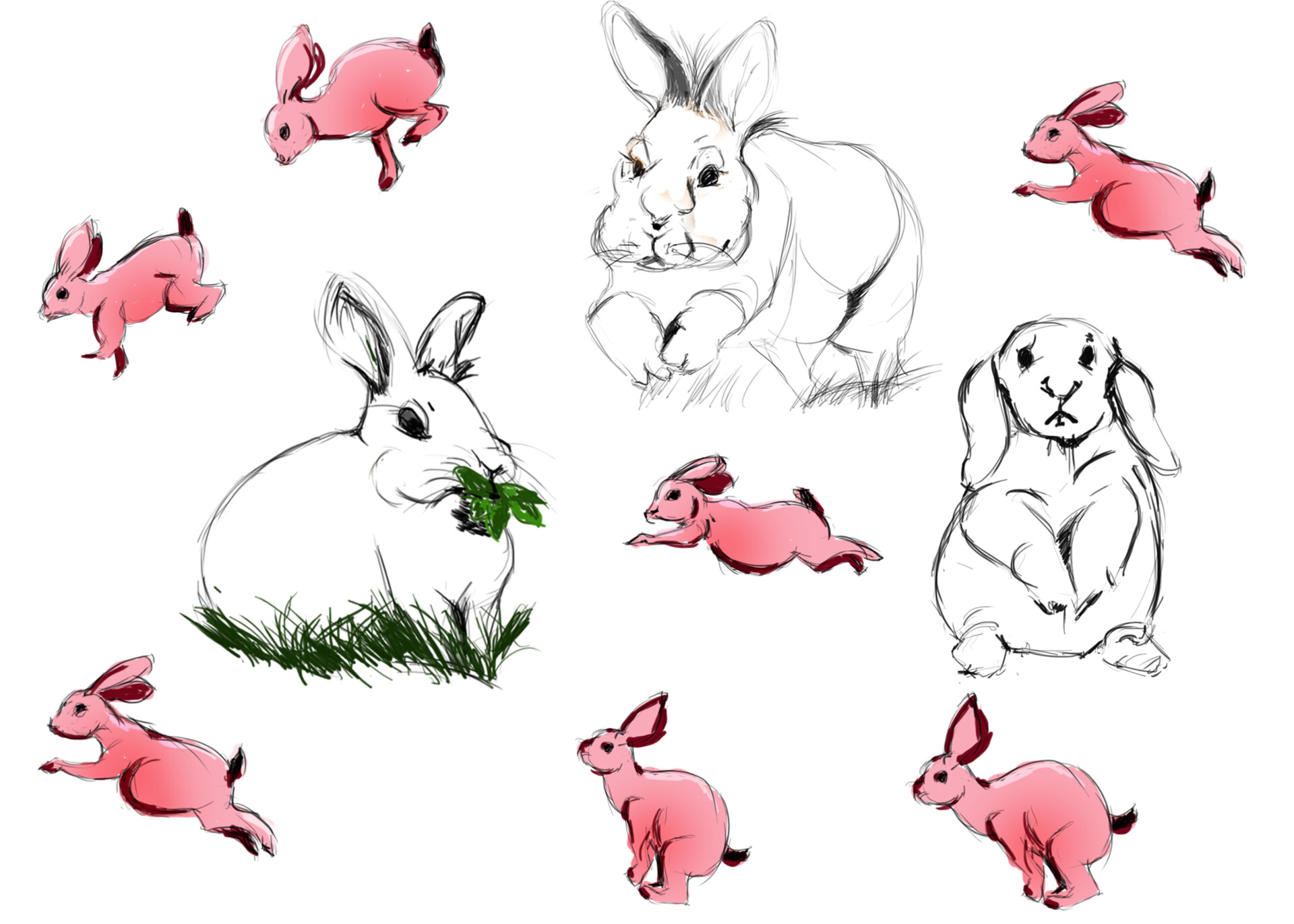 ArtStation - Day 11, Rabbit