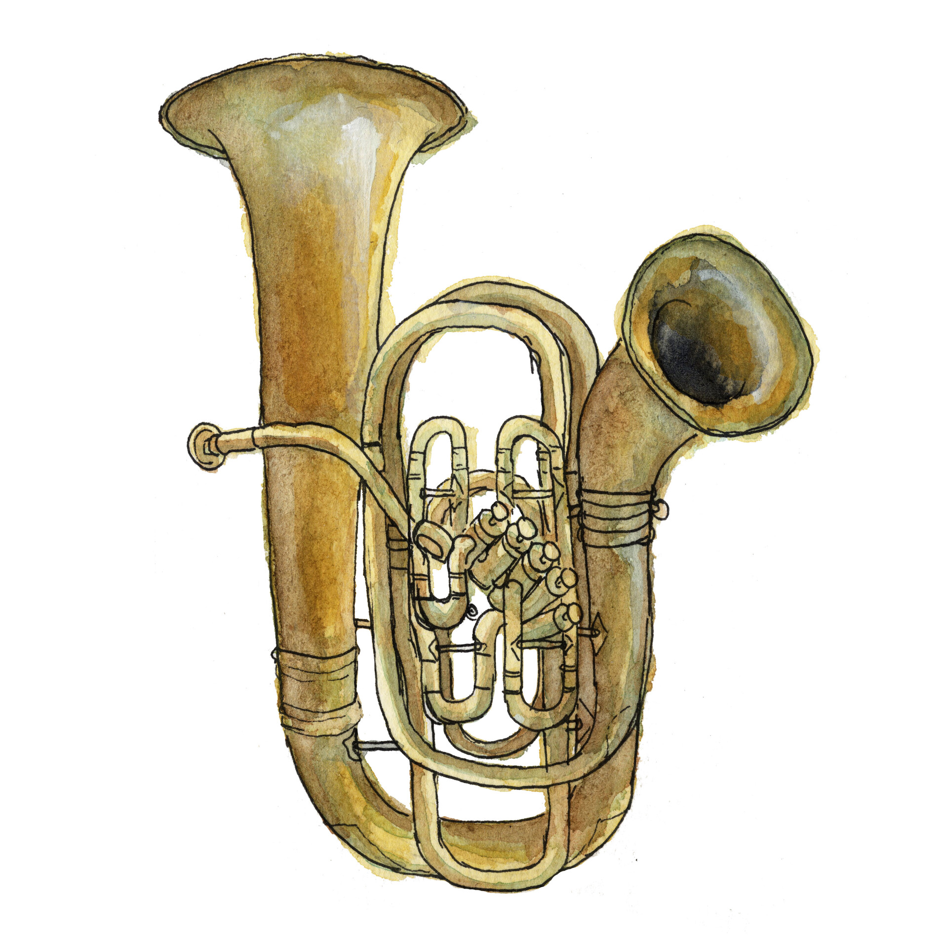 Tuba Instrument Drawing