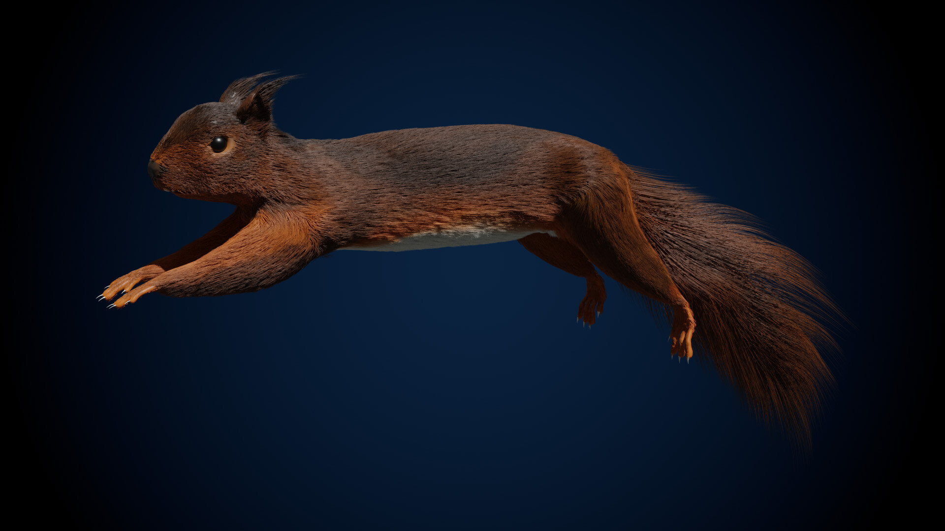 ArtStation - Squirrel