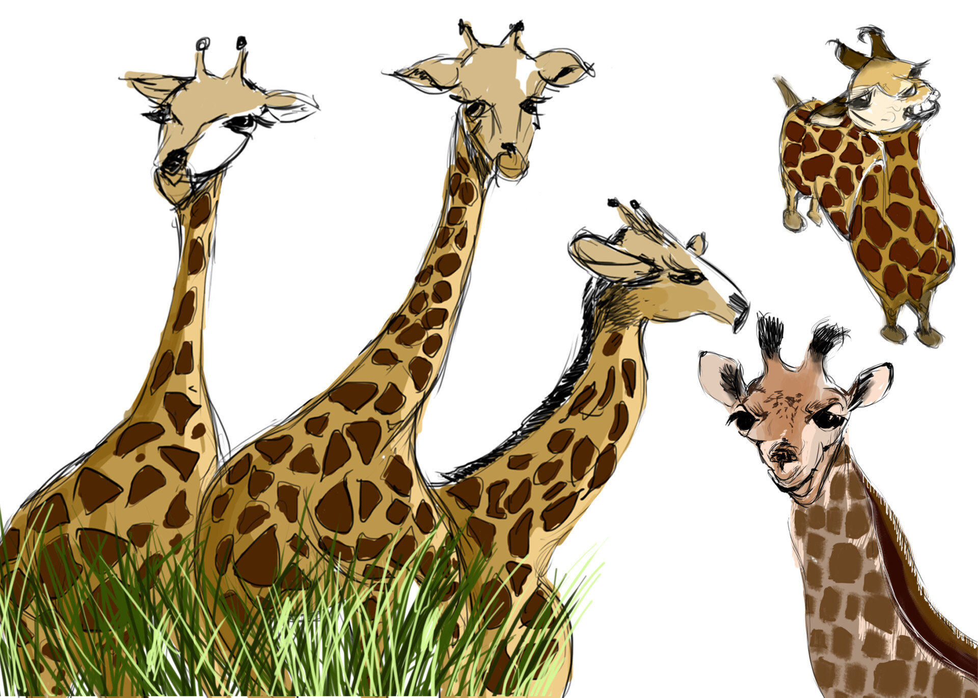 ArtStation - Day 12, Giraffe