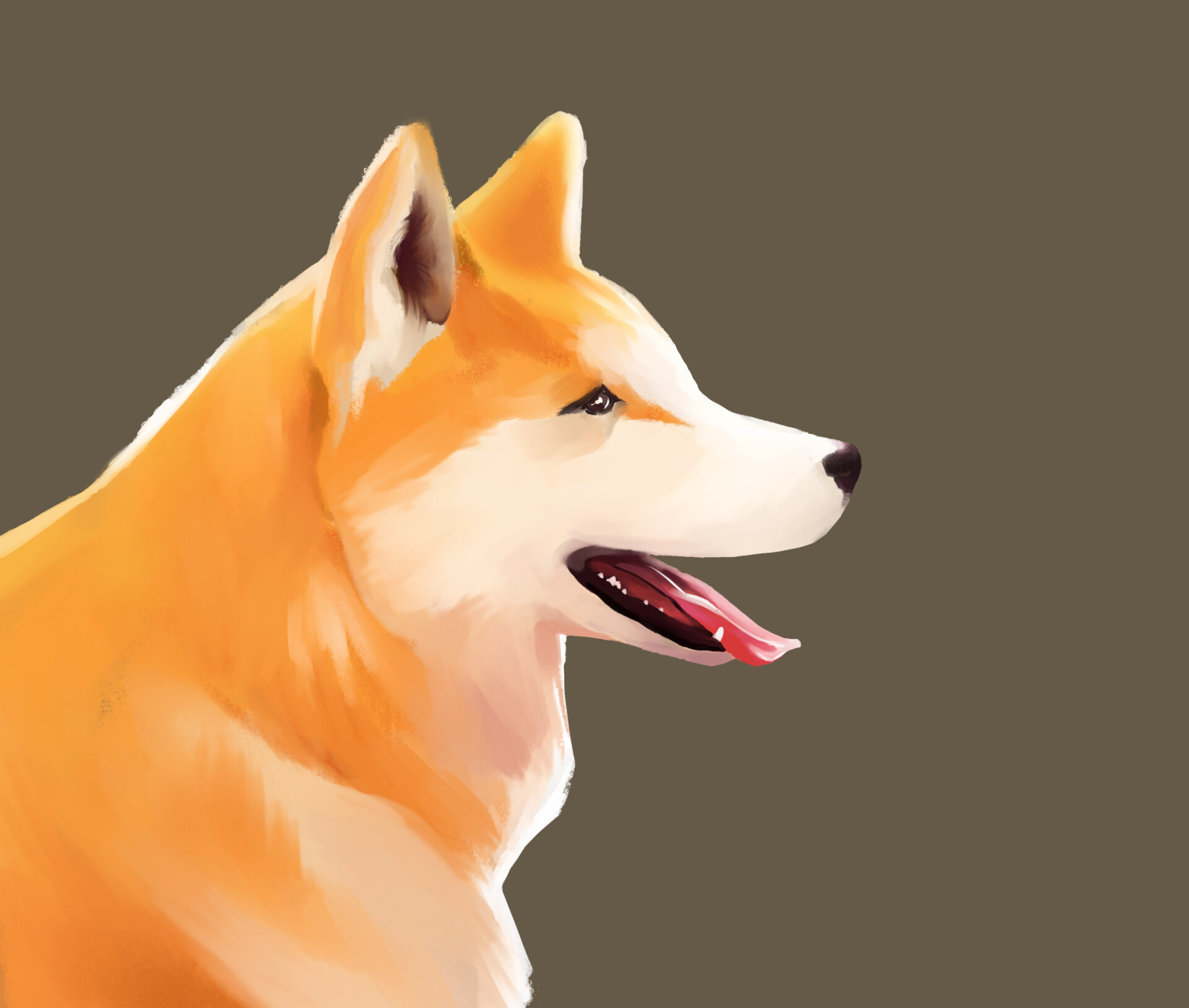 ArtStation - Akita Inu