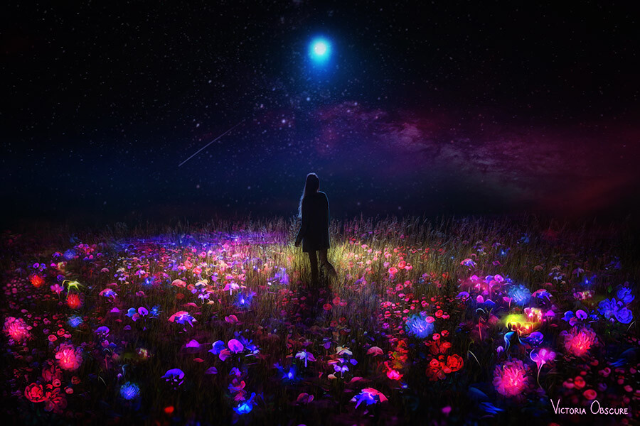 ArtStation - Bioluminescence