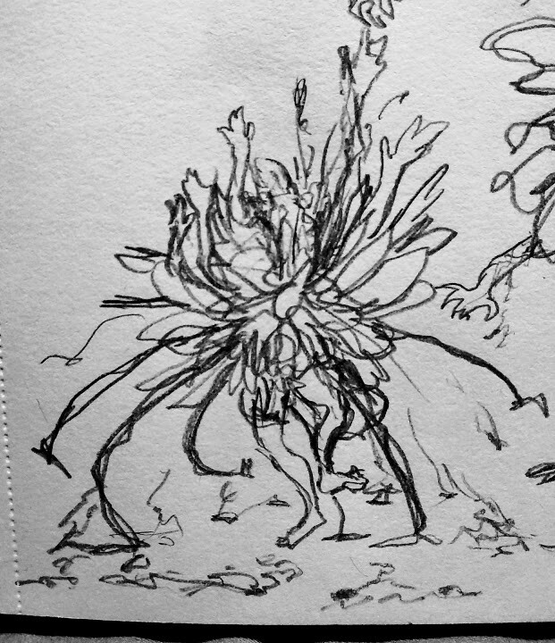 kneesesocks - Eldritch Space Flower