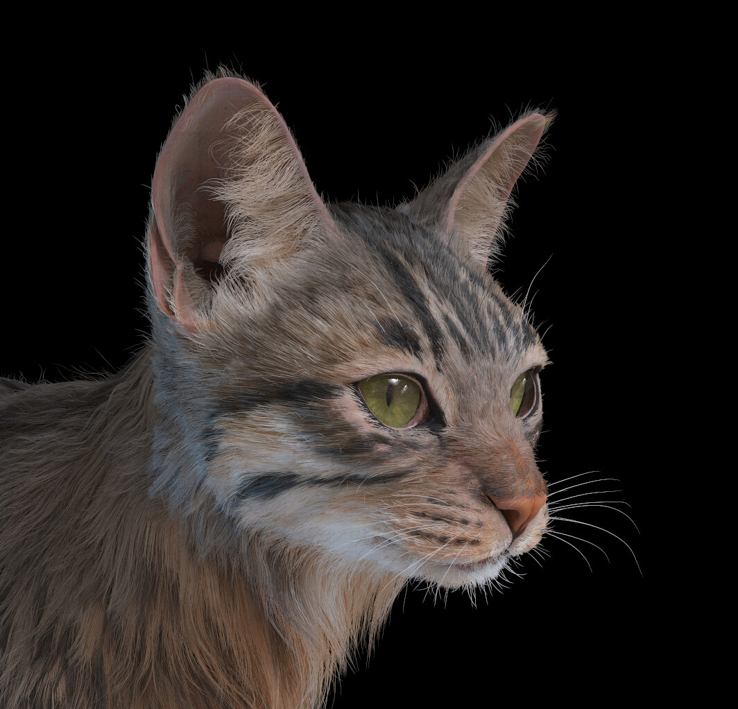 ArtStation - Houdini 19 Groom.