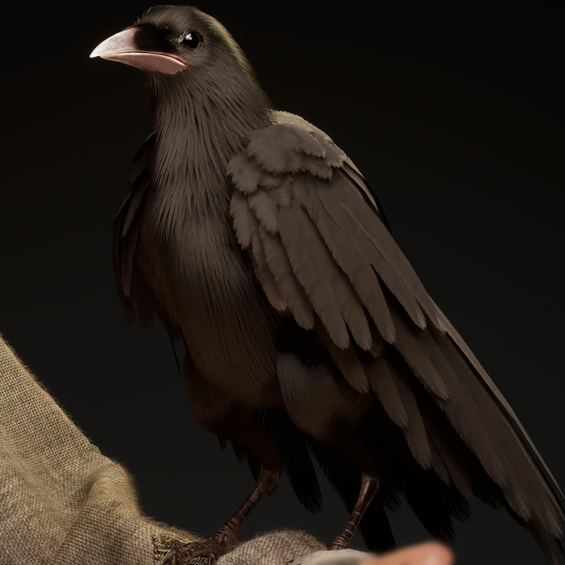 Ander Esparza - SORGINA (THE BASQUE WITCH) – BASQUE MYTHOLOGY #5