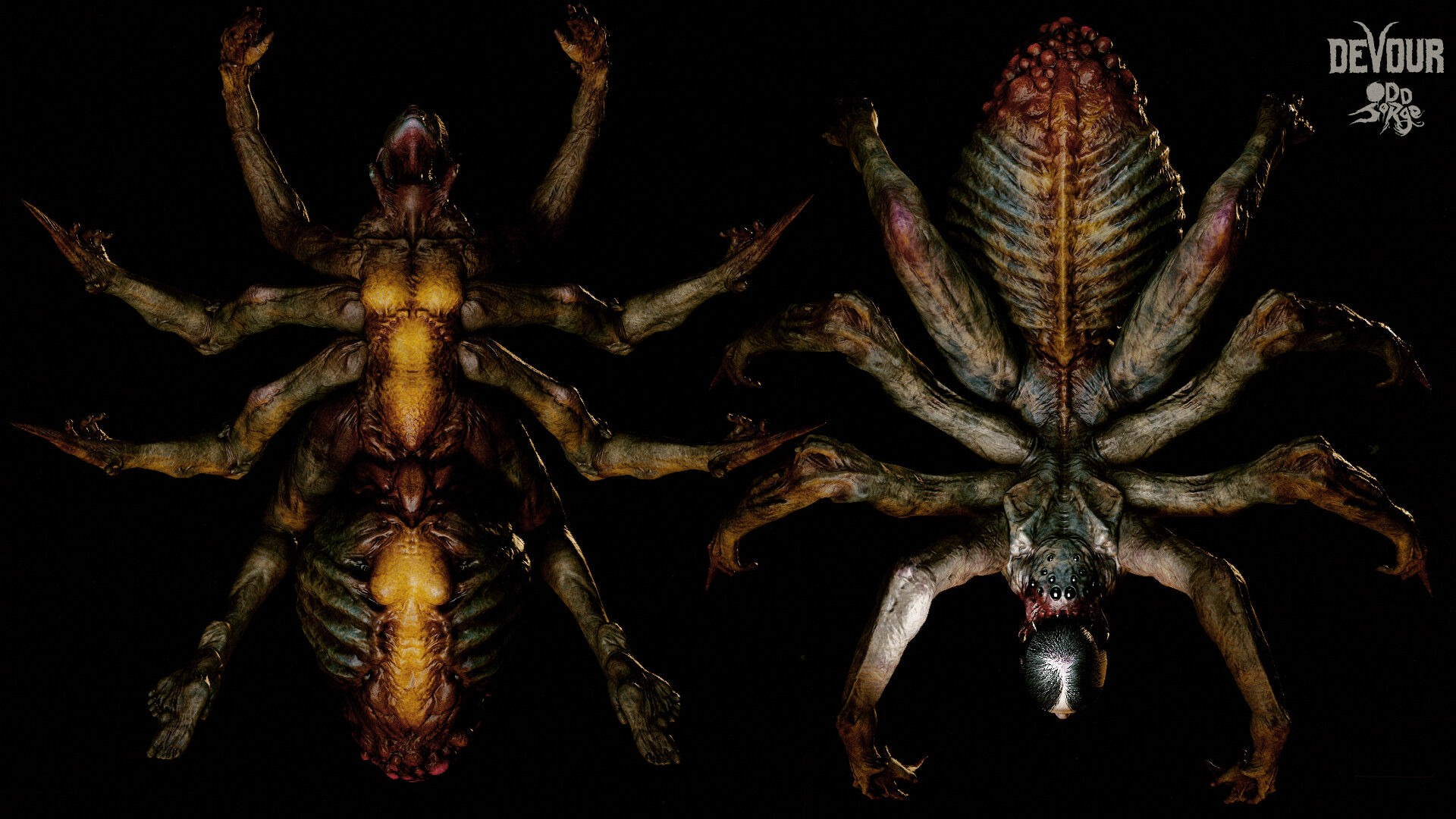 Odd Jorge - Devour - Zara's Spider Form