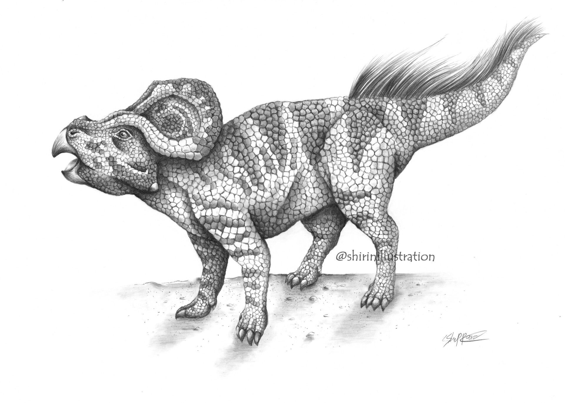 ArtStation - Protoceratops Concept Sketch