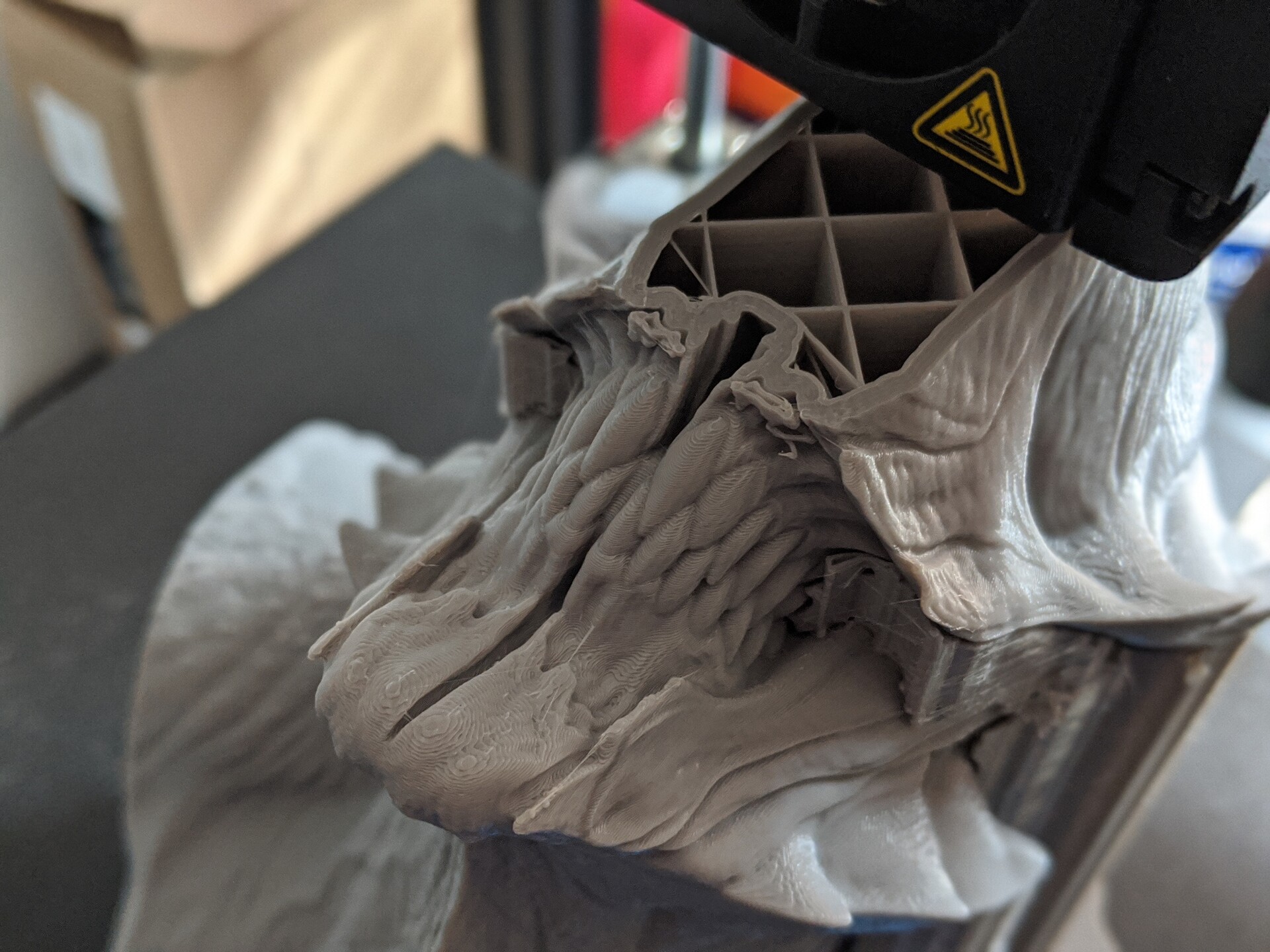 Peter König - Hatchet Face