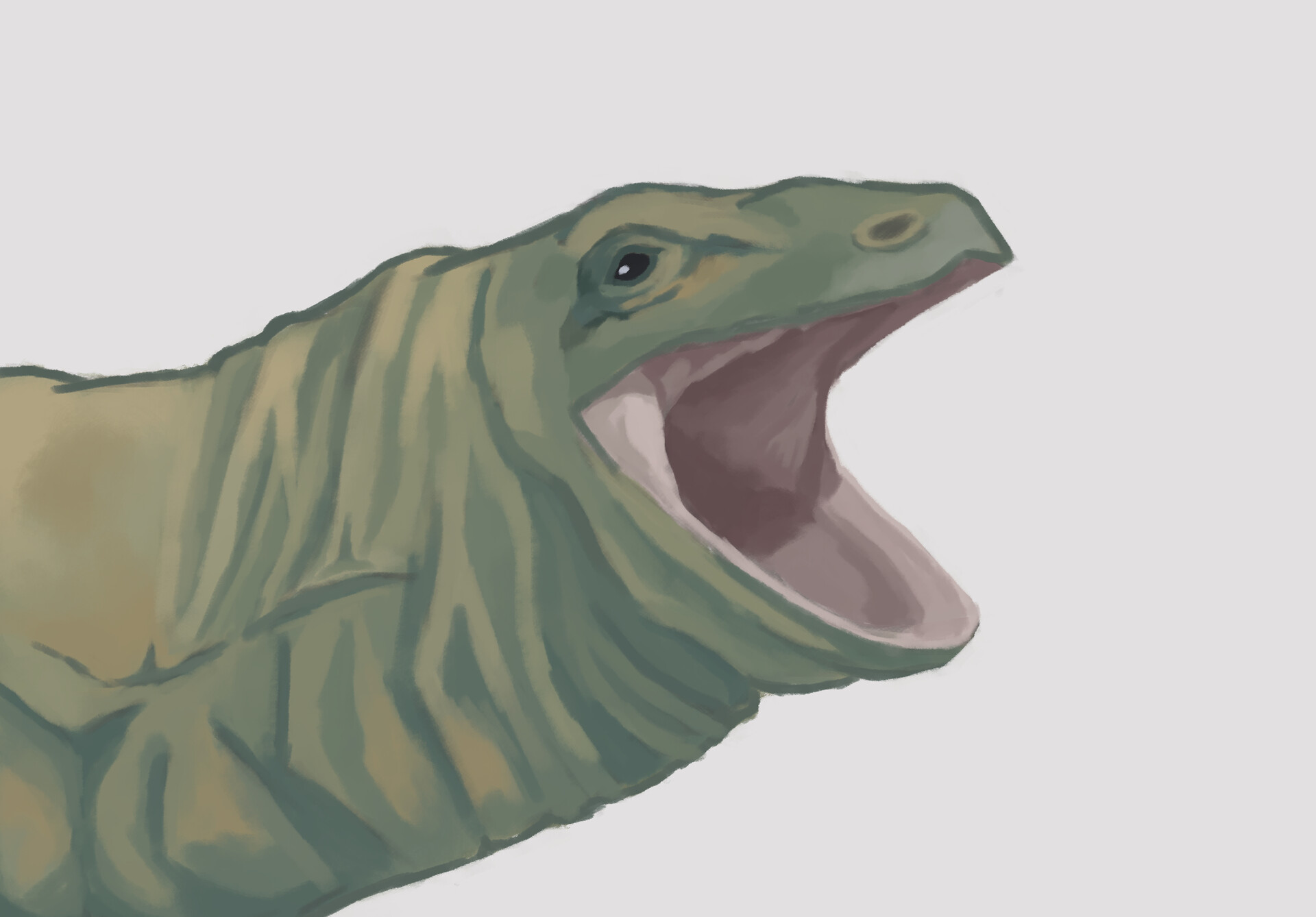 ArtStation - Funky Animals