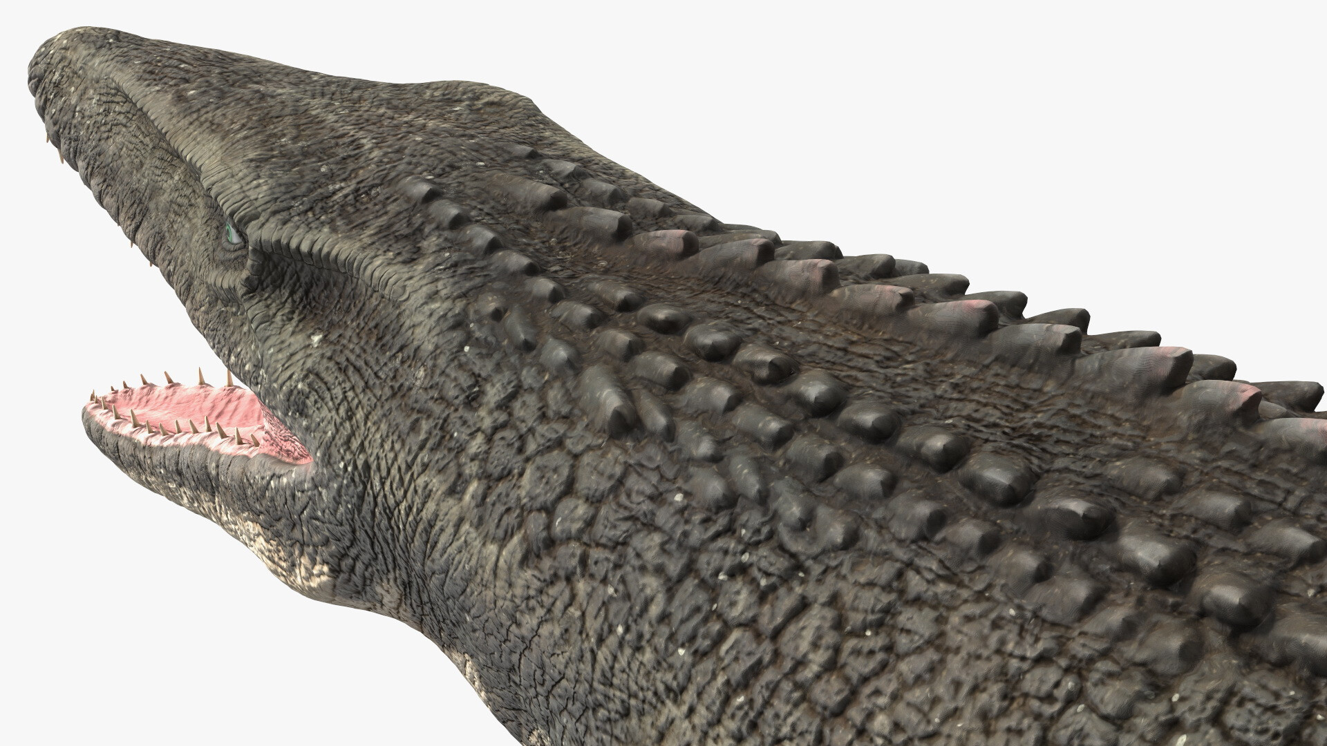 Dinosaur Revolution Mosasaur