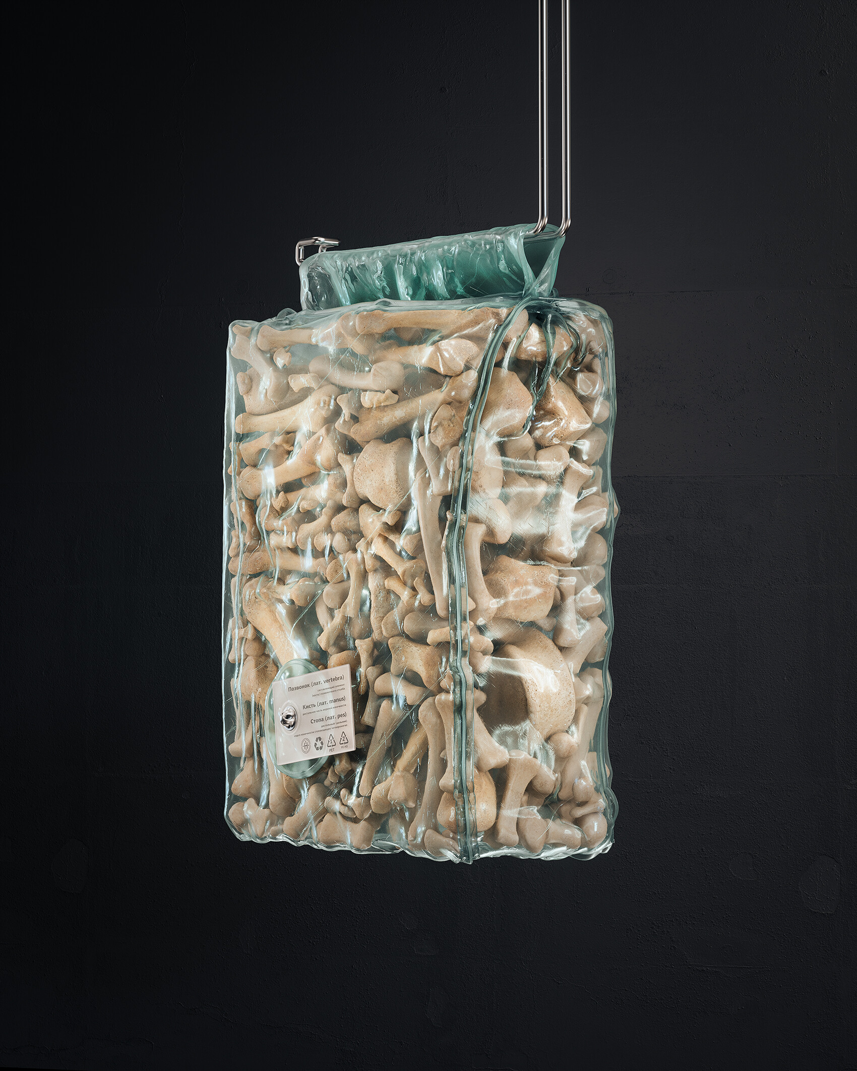 Anton Bessonov - • BONES