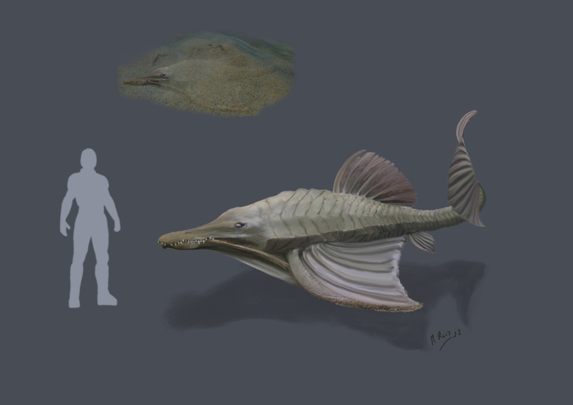ArtStation - Sea creature concept art.