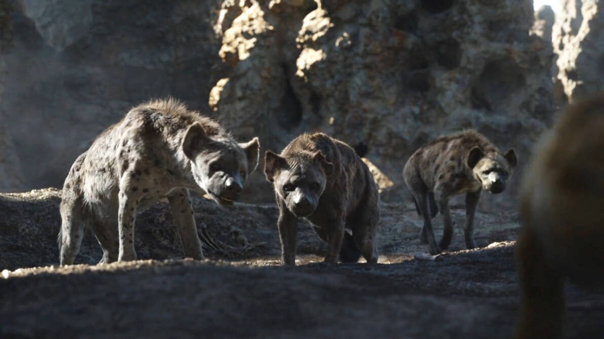 Joshua Cann - Azizi - Lion King 2019