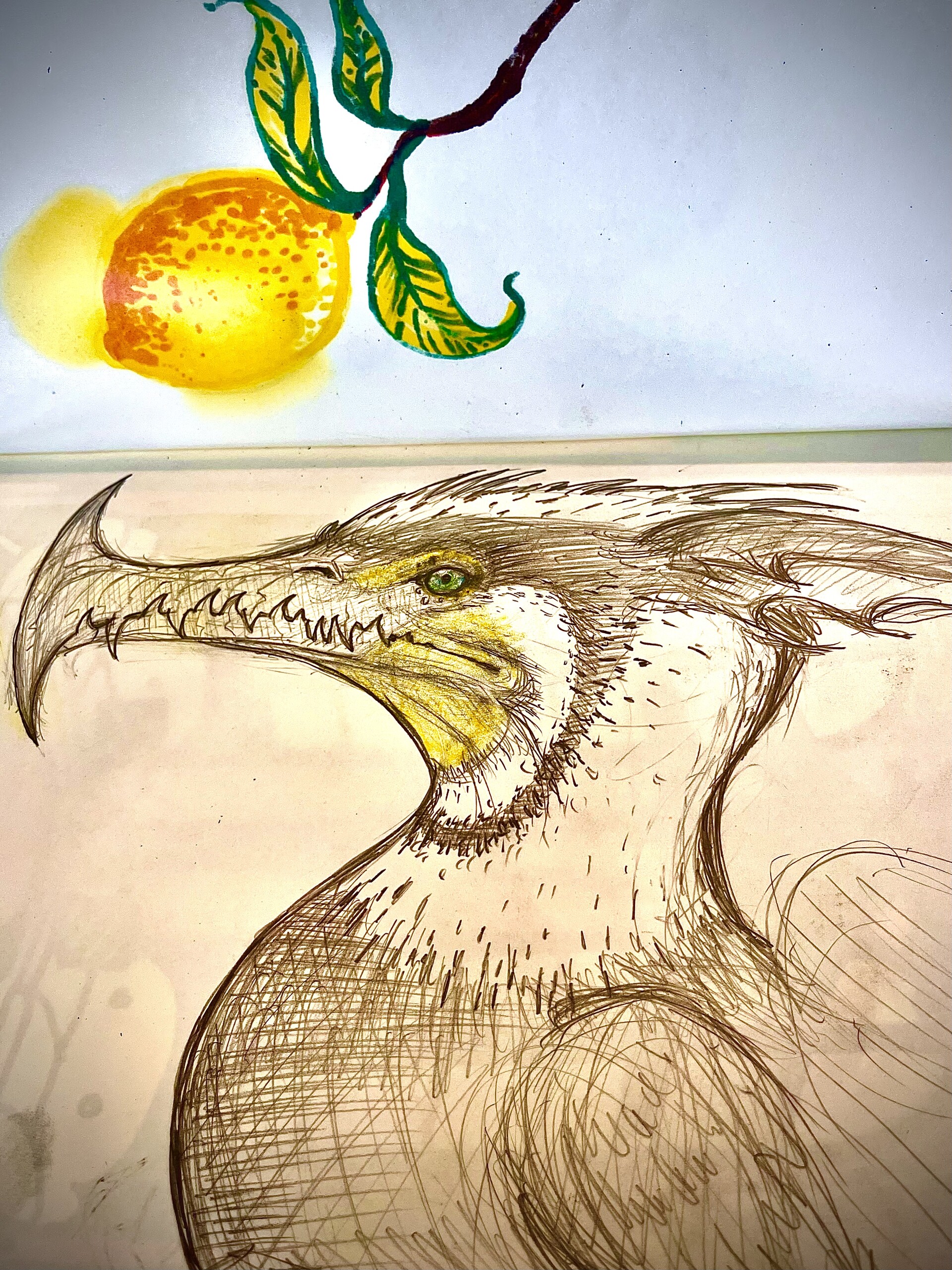 ArtStation - Dragon-bird concept