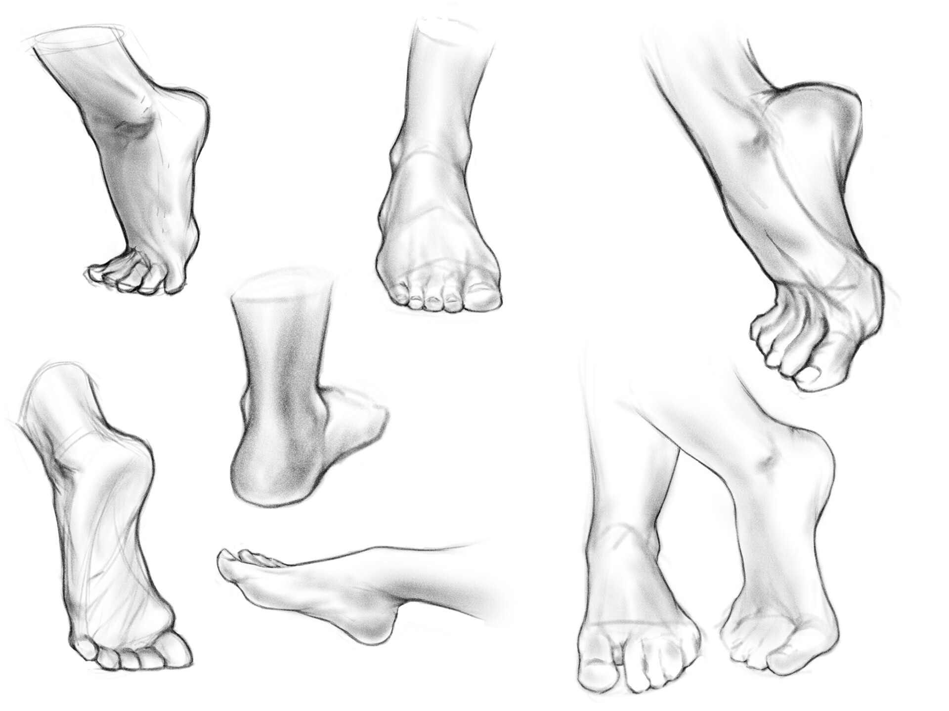 ArtStation - Anatomy studies