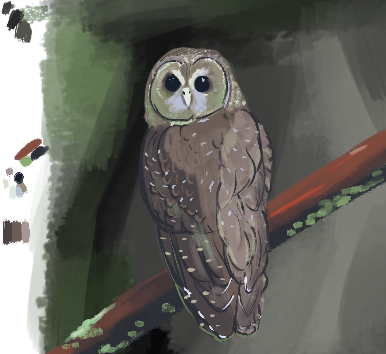 ArtStation - owl practice