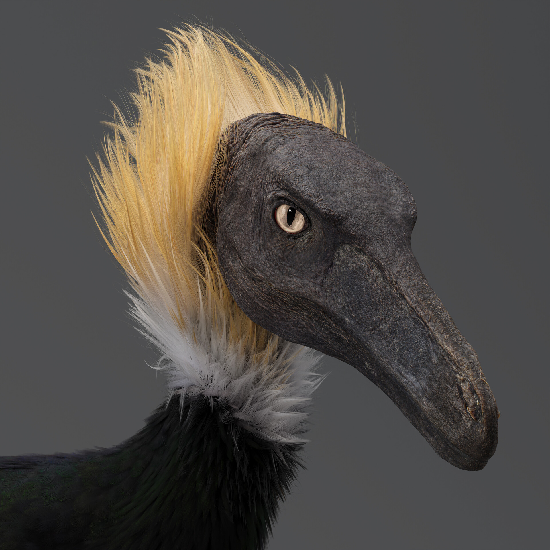 Joanna Kobierska - Pyroraptor olympius