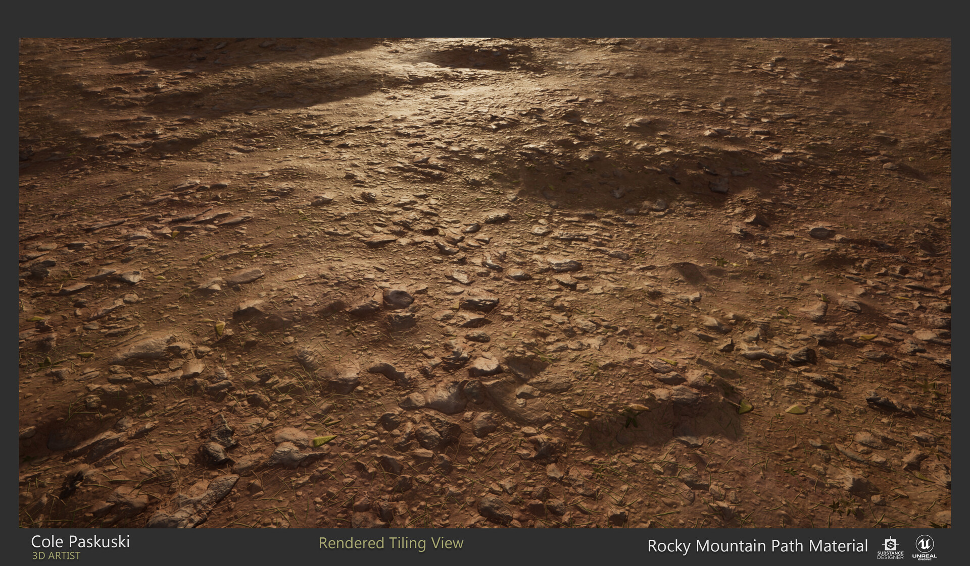 Cole Paskuski - Rocky Mountain Path Material (Substance Designer)