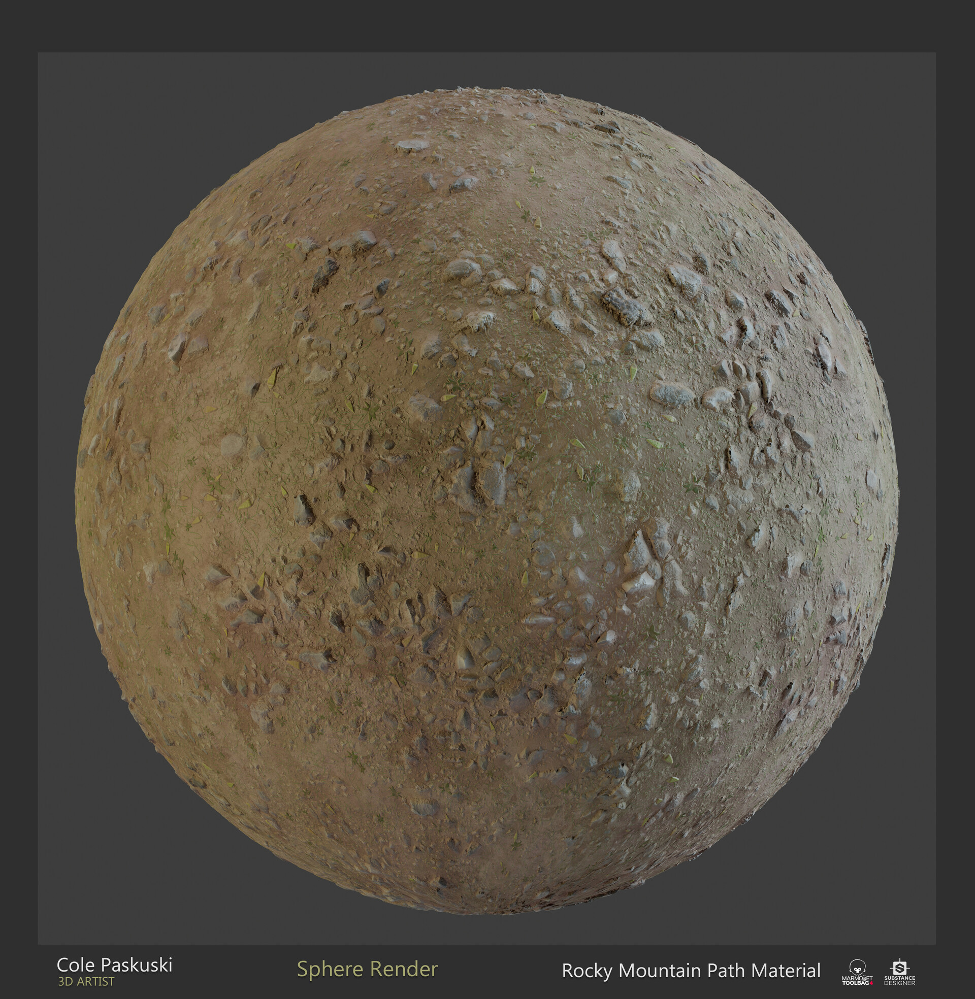 Cole Paskuski - Rocky Mountain Path Material (Substance Designer)