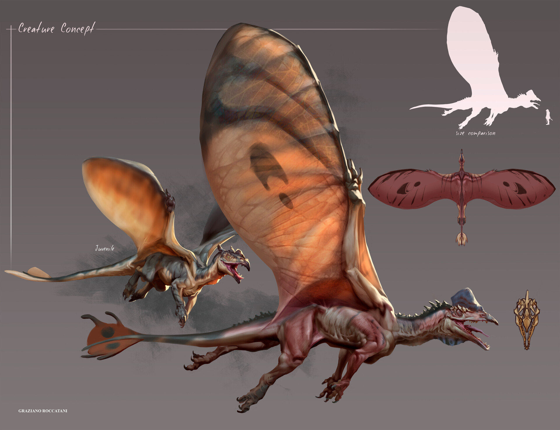 ArtStation - Dragon Study