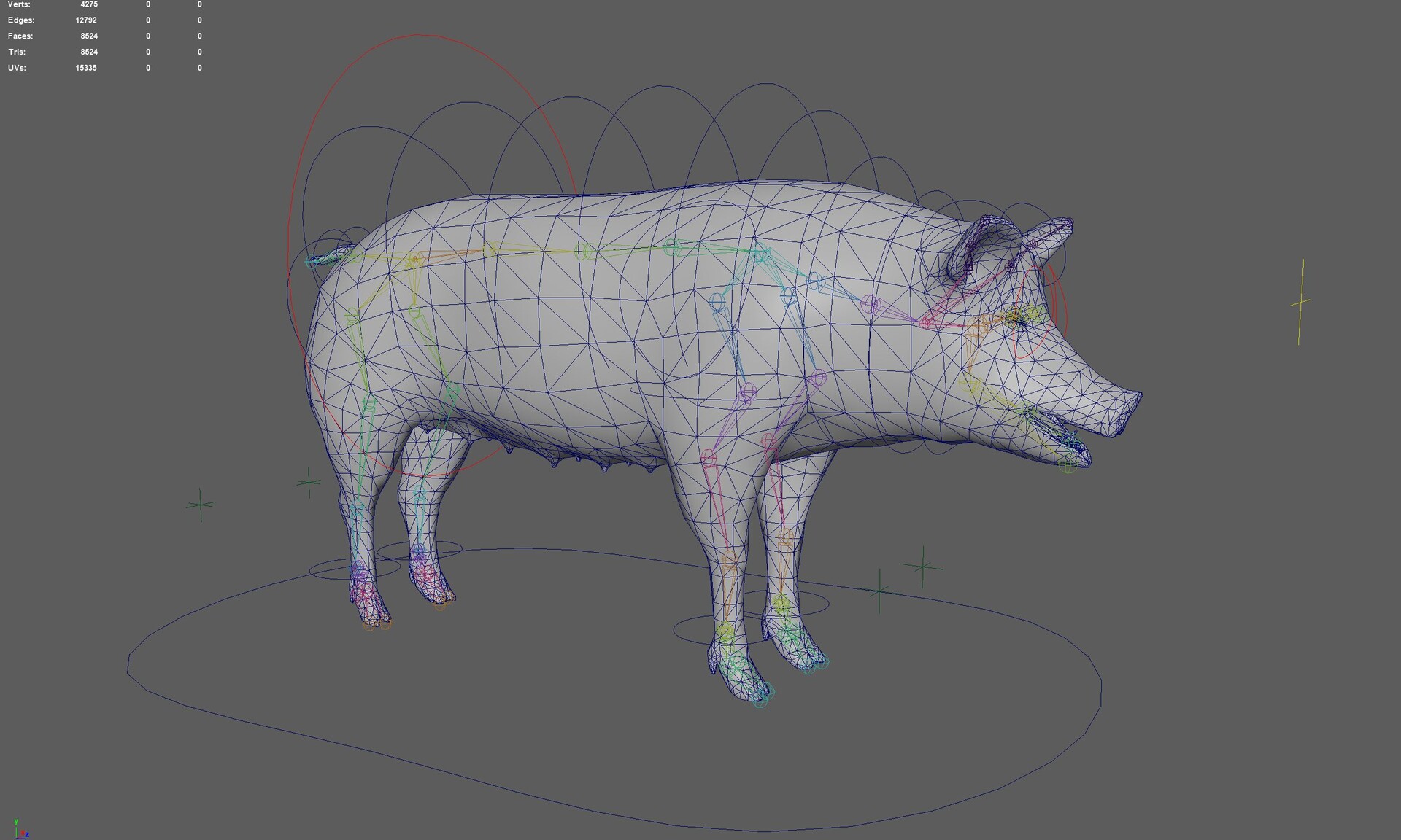 Wessex Archaeology - Tamworth Pig
