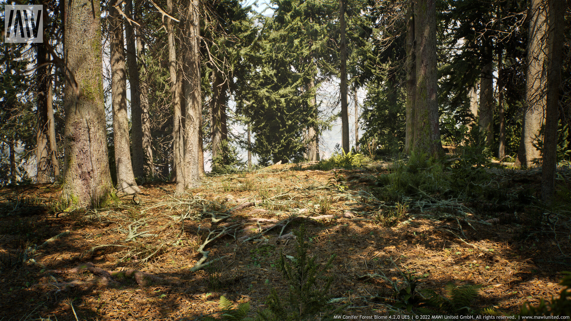 MAWI United - UE5 Conifer Forest V4.2.0 Runtime Demo
