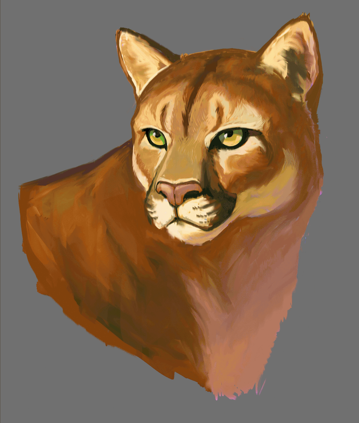 Enrique Perez Soler - The Cougar - Buffalo Toro Symbol Design