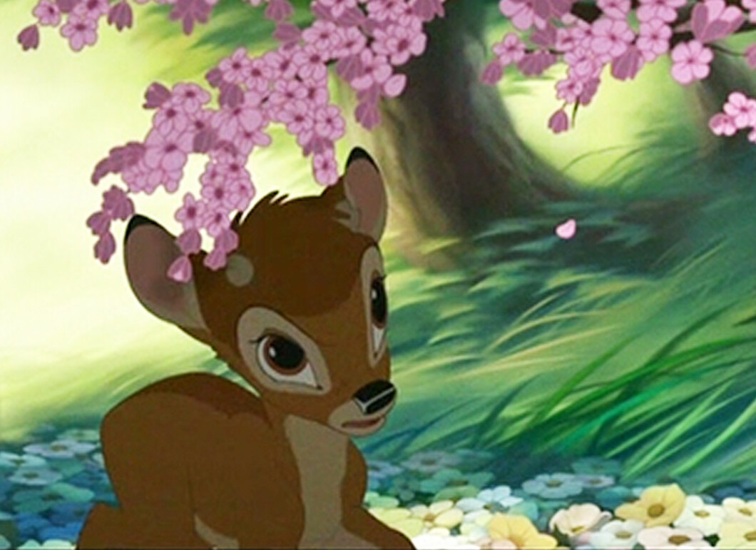 Myke Sutherland - Bambi growing up.