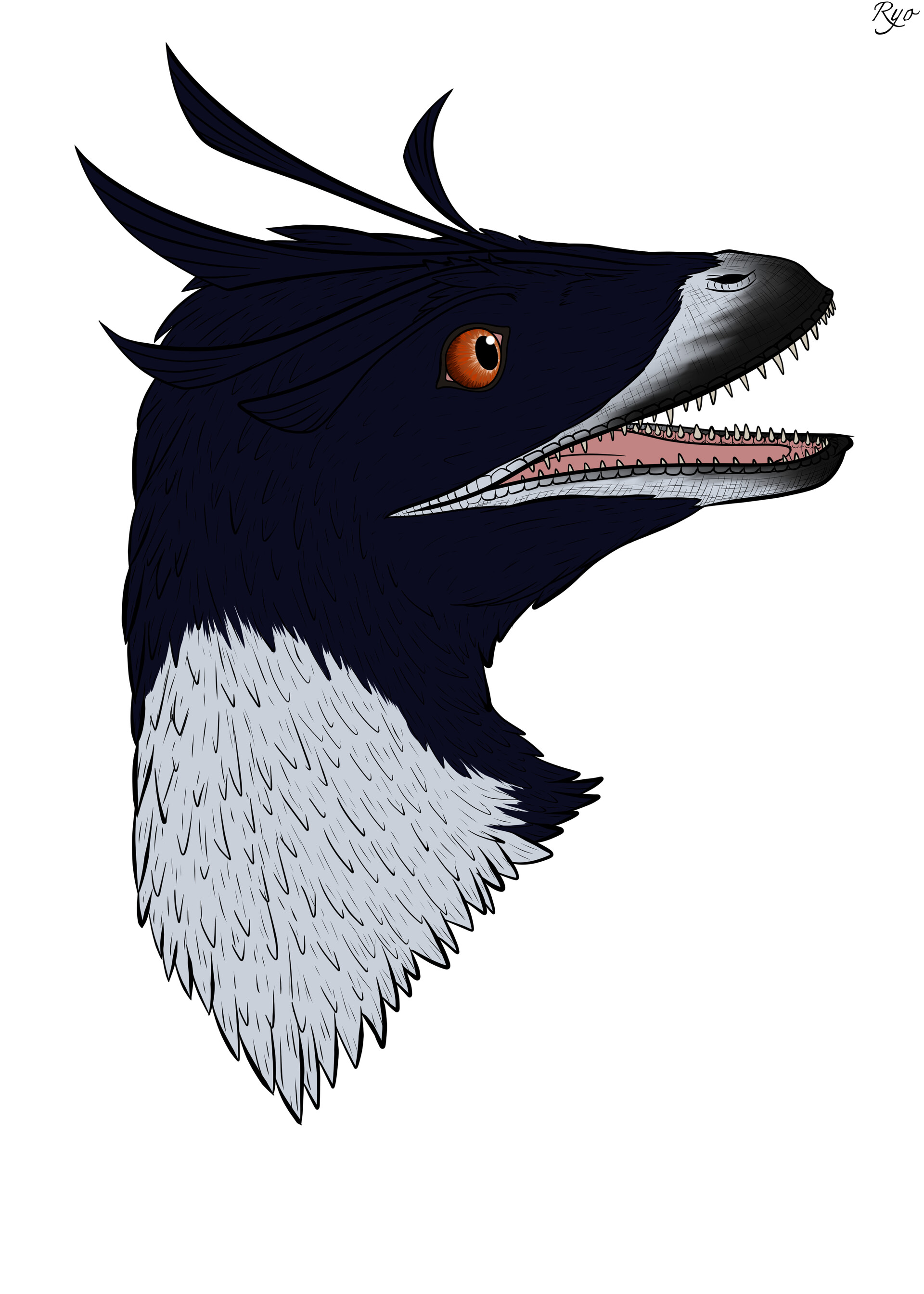 Microraptor Color