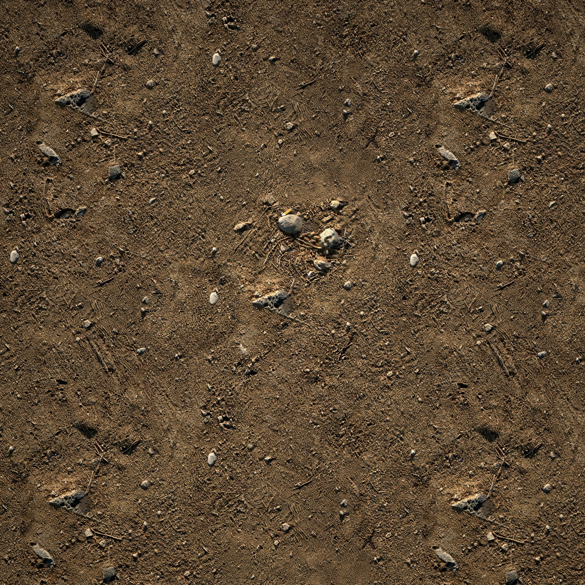 ArtStation - Ground study
