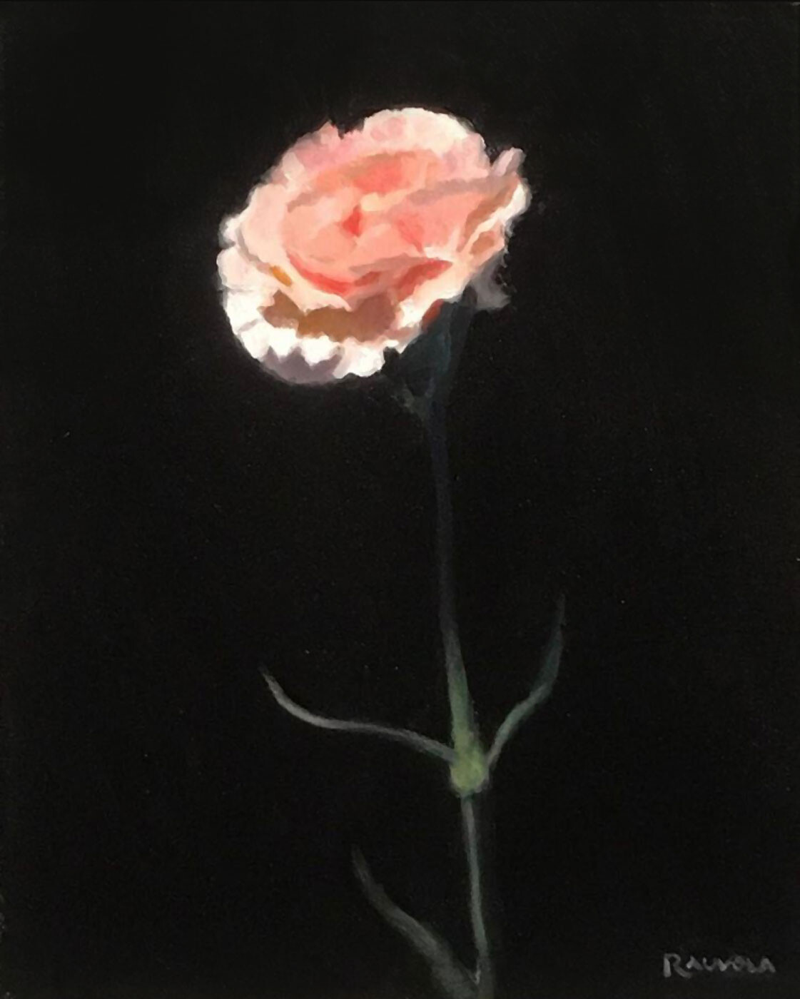 ArtStation - Carnation