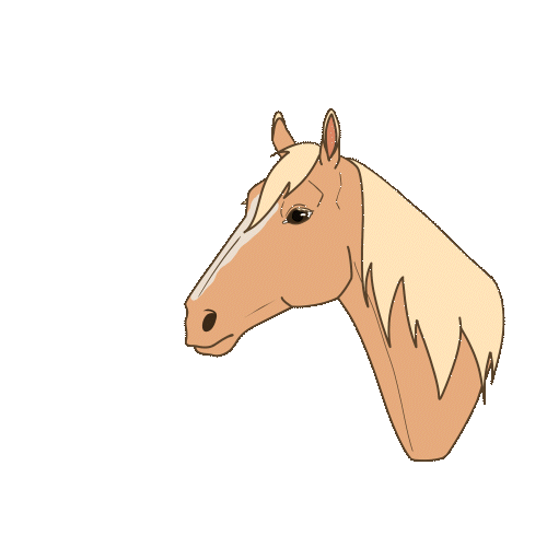 Amy Cooper - Animation: Horse Emote Gifs