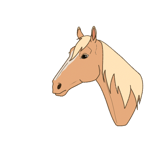 Amy Cooper - Animation: Horse Emote Gifs
