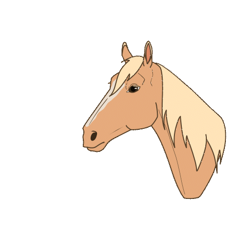 Amy Cooper - Animation: Horse Emote Gifs