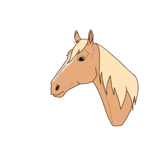 Amy Cooper - Animation: Horse Emote Gifs
